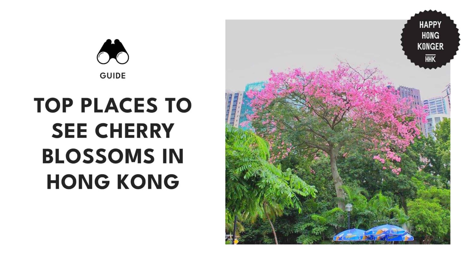 HK's 8 Best Cherry Blossom Spots for IG-Worthy Shots